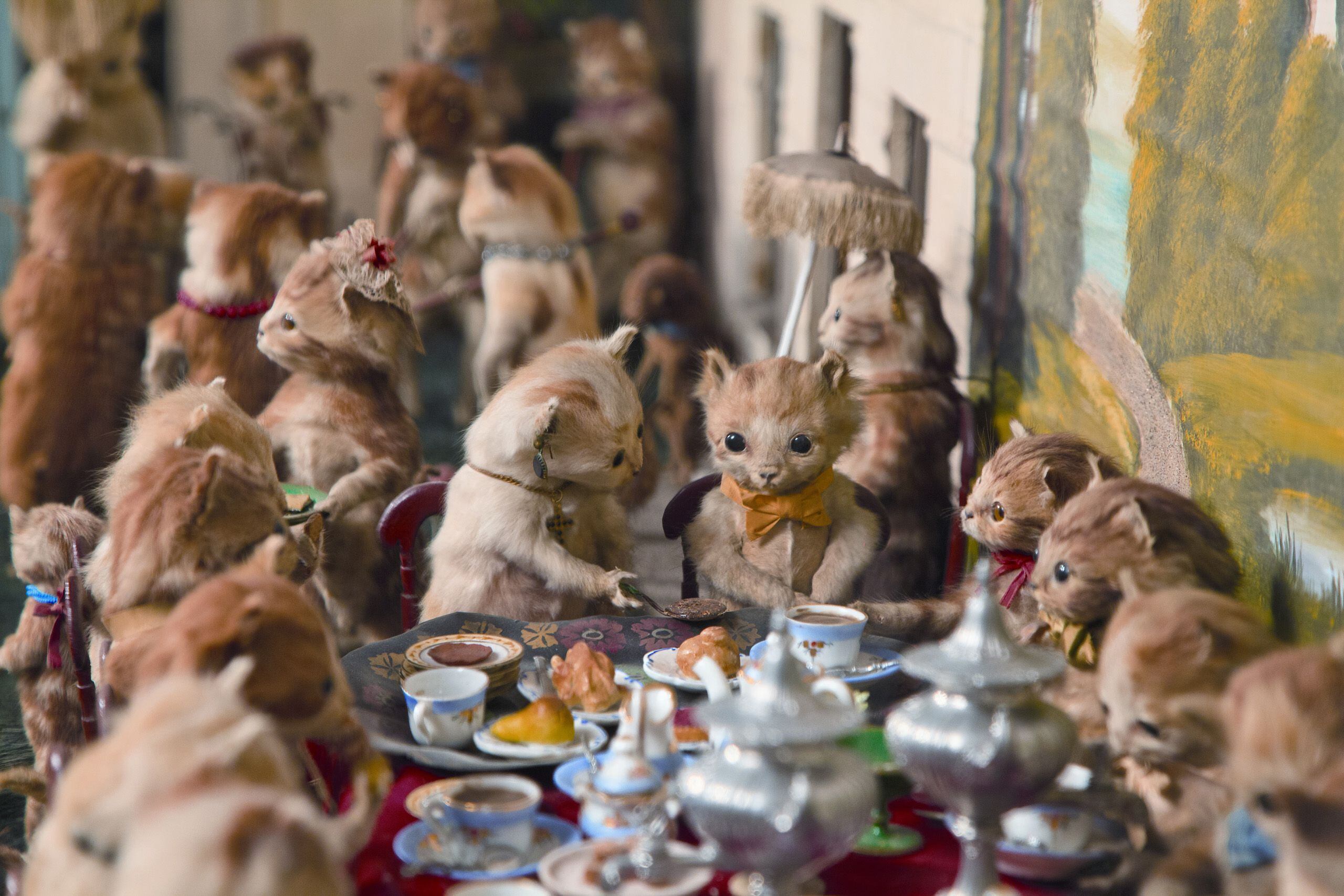 Walter Potter Cricket