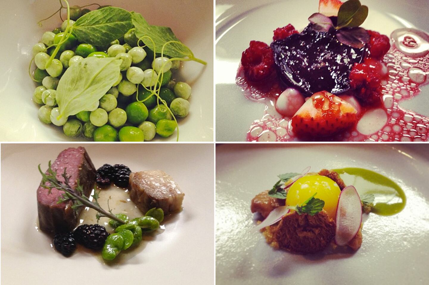 Meet Flynn McGarry: America’s Next Great Chef is 14 Years Old