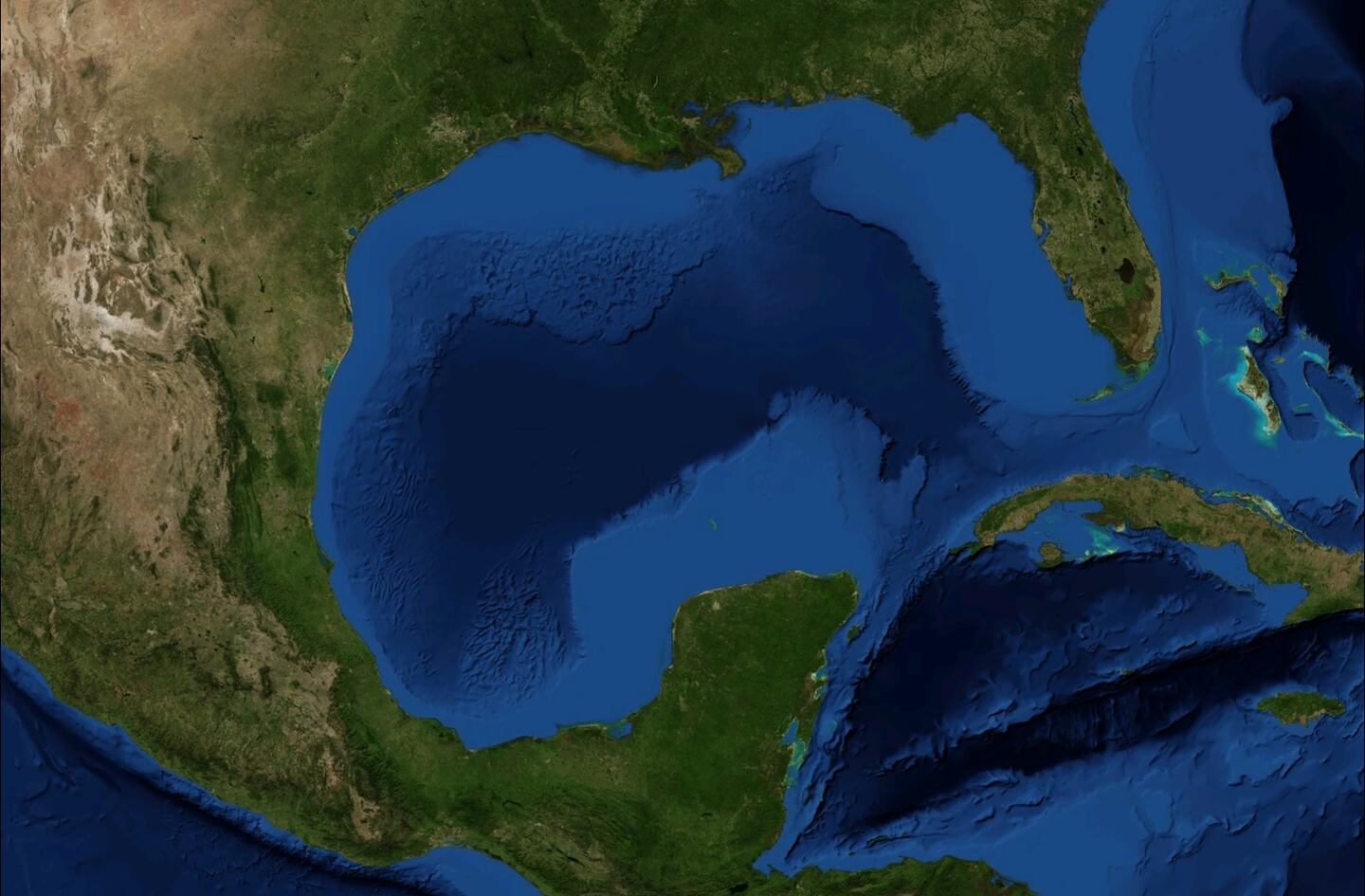 ‘Gulf of America’: Trump Promises to Rename Gulf of Mexico in Bonkers Rant