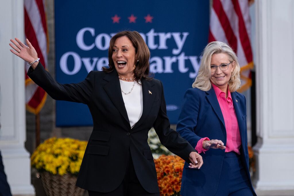MAGA Attorney Proposes Seizing Liz Cheney’s Assets as Jan. 6 Rioter ...