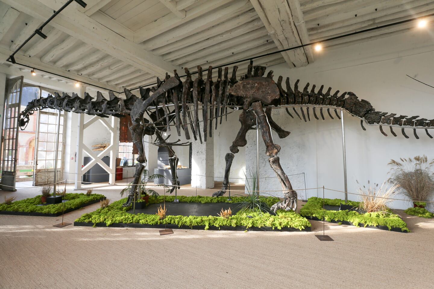 Movie Stars Love Collecting Dinosaur Bones—to the Dismay of Scientists