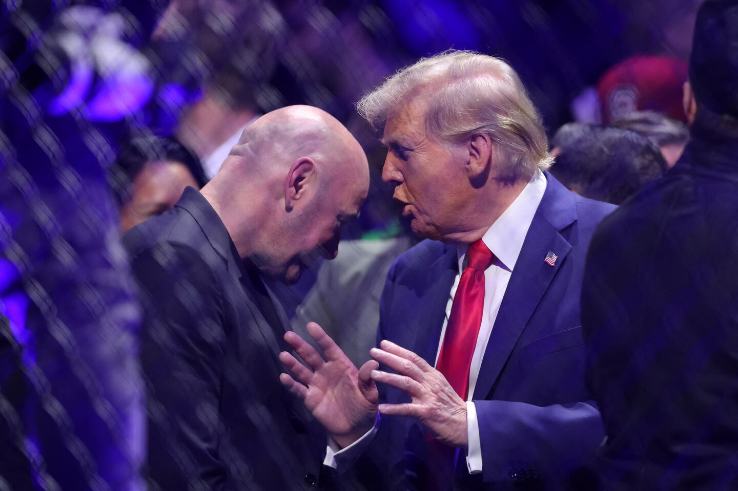 UFC Head Dana White Warns ‘3 Big Problems’ Could Doom Trump's White ...