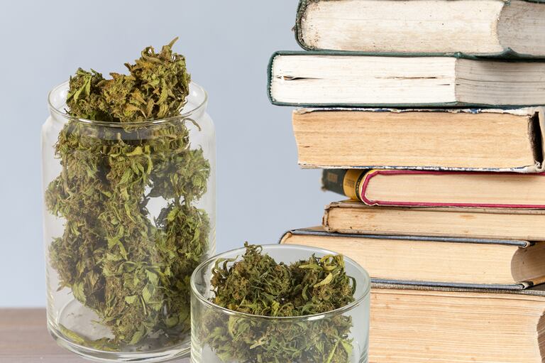 Weed Reads: The 10 Best Books on Pot