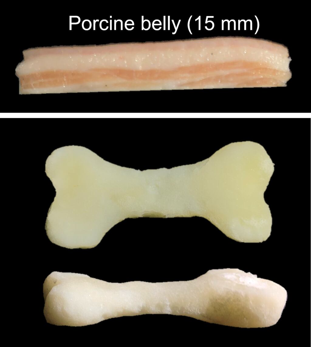 This 3D Printer Works In Your Body to Repair Bones and Guts