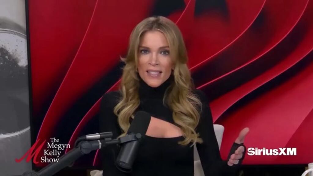 Megyn Kelly Slings Favorite Insult at Fox News Host Mark Levin in MAGA ...