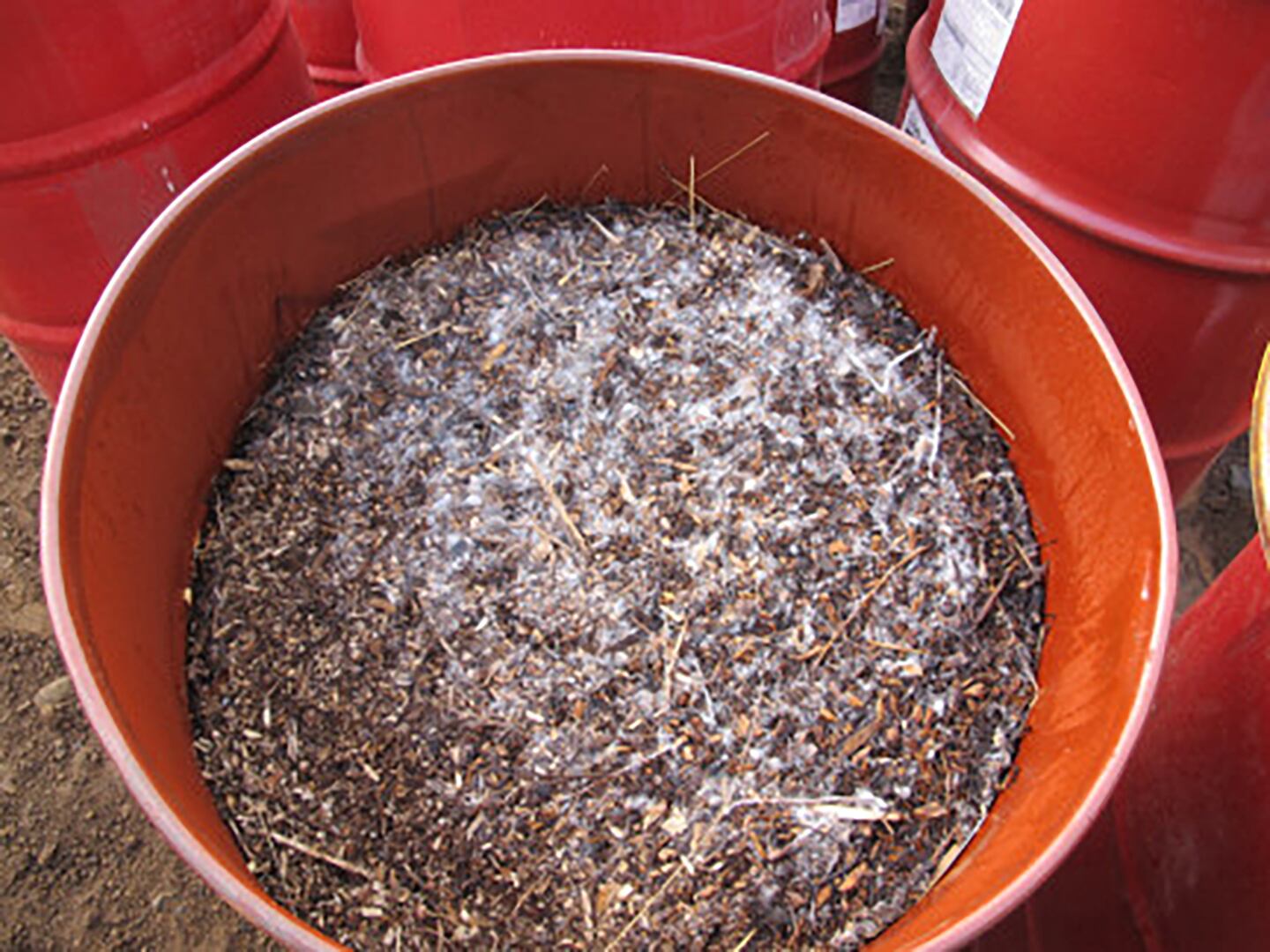 Why I Chose Human Composting Over Cremation or Burial