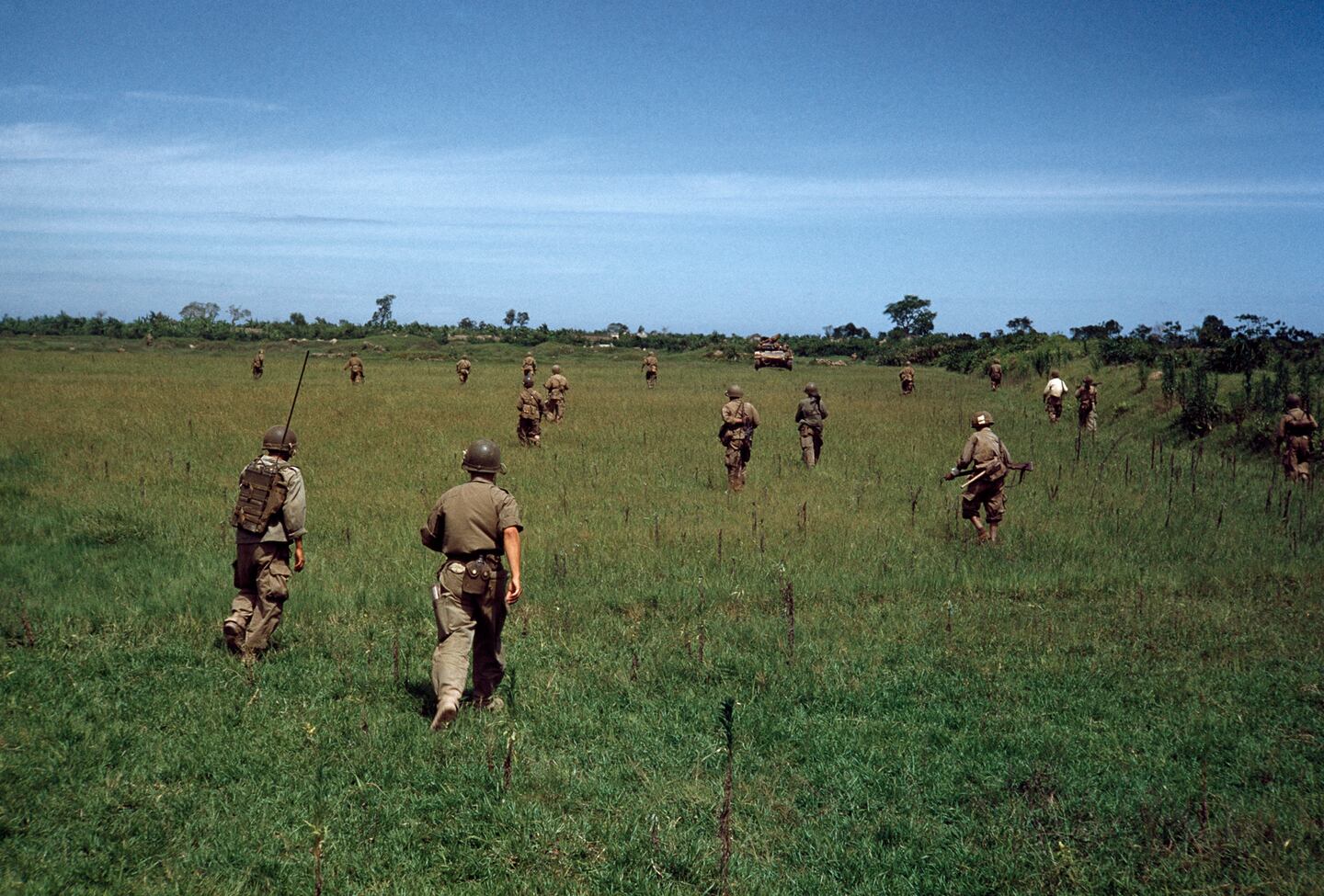Capa in Color