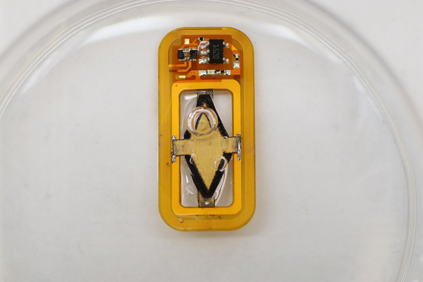 This Implantable Device From MIT Pumps Insulin Without Needles