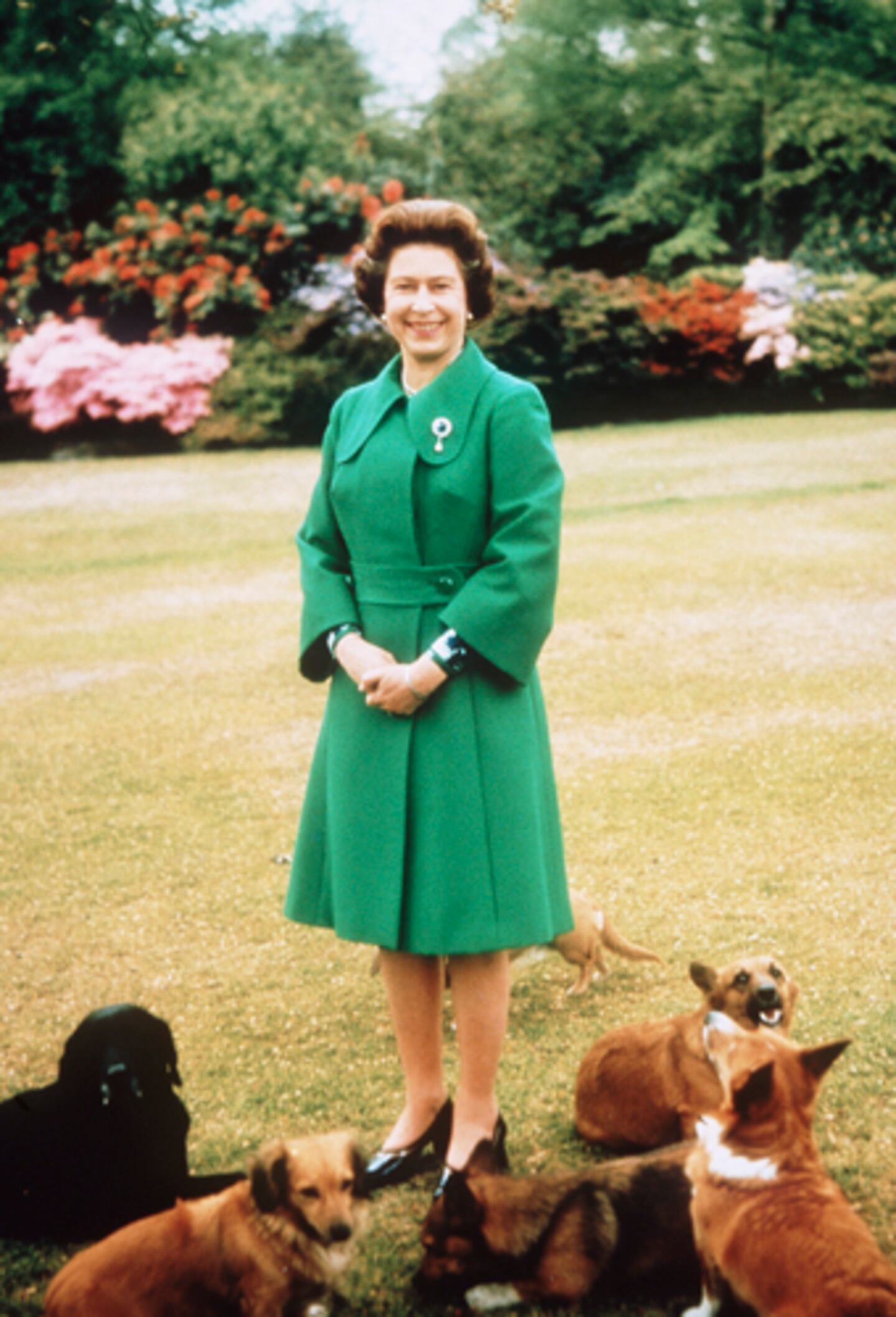 Prince William and Kate’s New Puppy Joins Long History of Royal Dogs