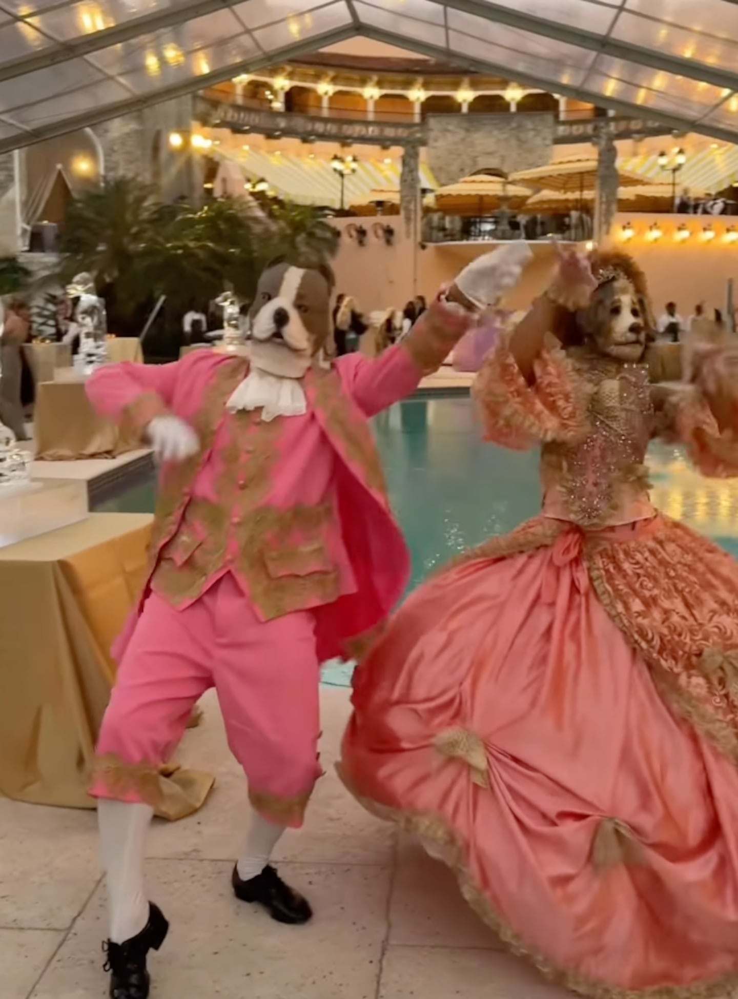 Tornado Alley (PROG) : I found some furries for you! Sick