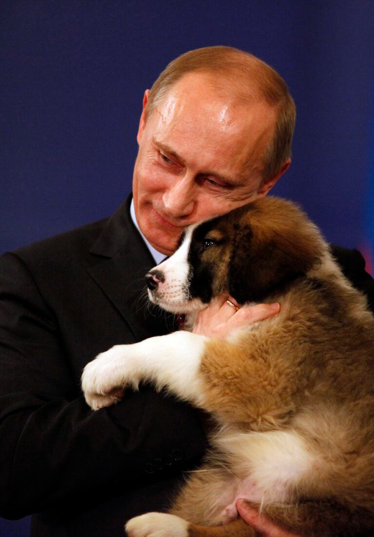 17 Photos of Putin Schmoozing With Animals (Photos)