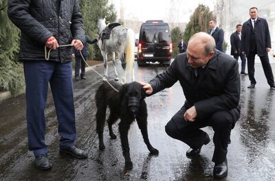 How Vladimir Putin Uses His Pet Dogs for the Kremlin’s Dirty Tricks