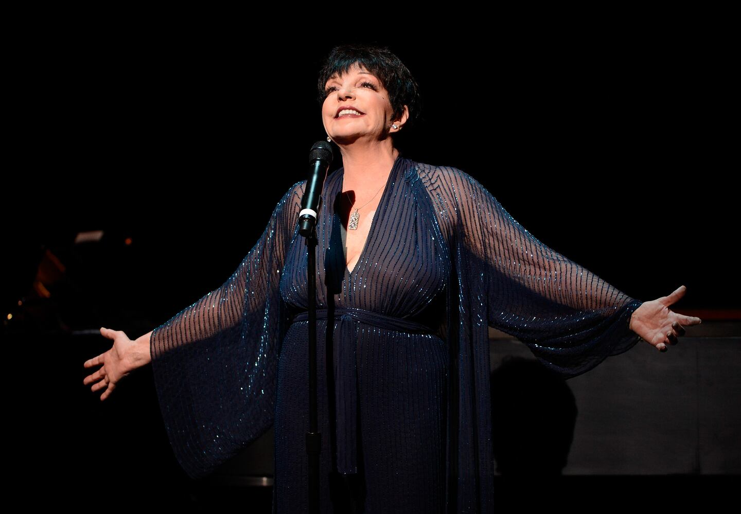 Liza Minelli, 79, Ends 13-Year Hiatus With AI Song