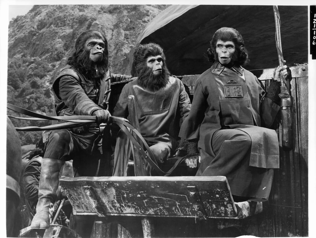 These Chimps Johnny and Renata Could Say ‘Mama’ Fluently, Scientists Reveal
