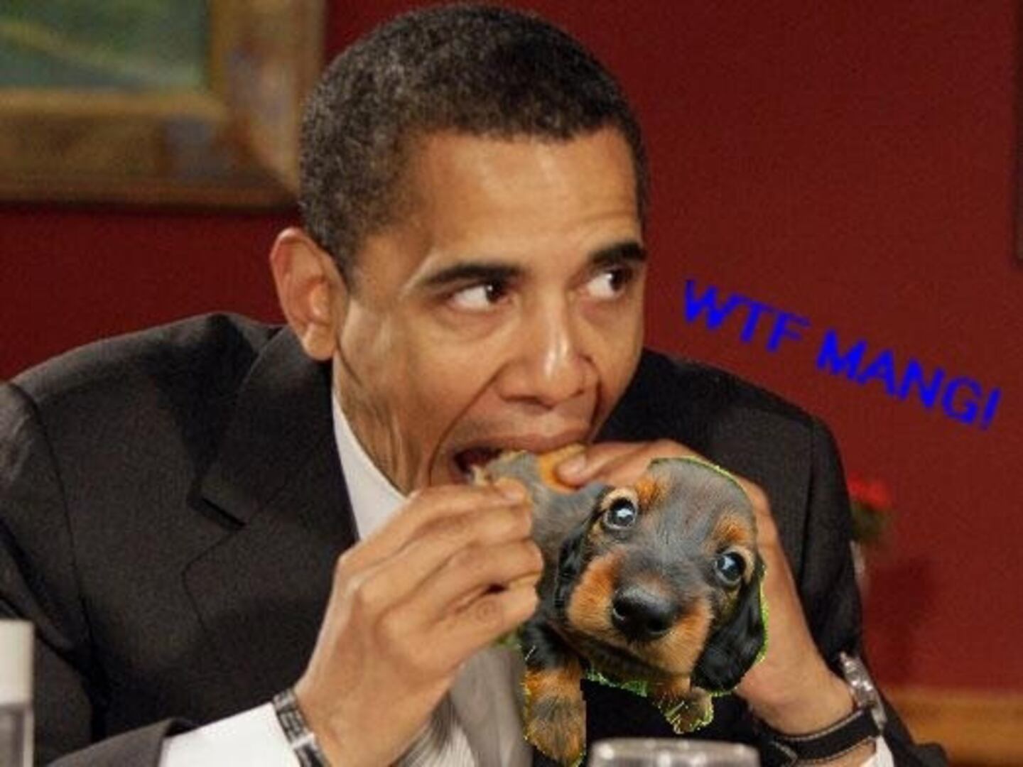 Meme of the Week: Obama Eats Dog (Photos)