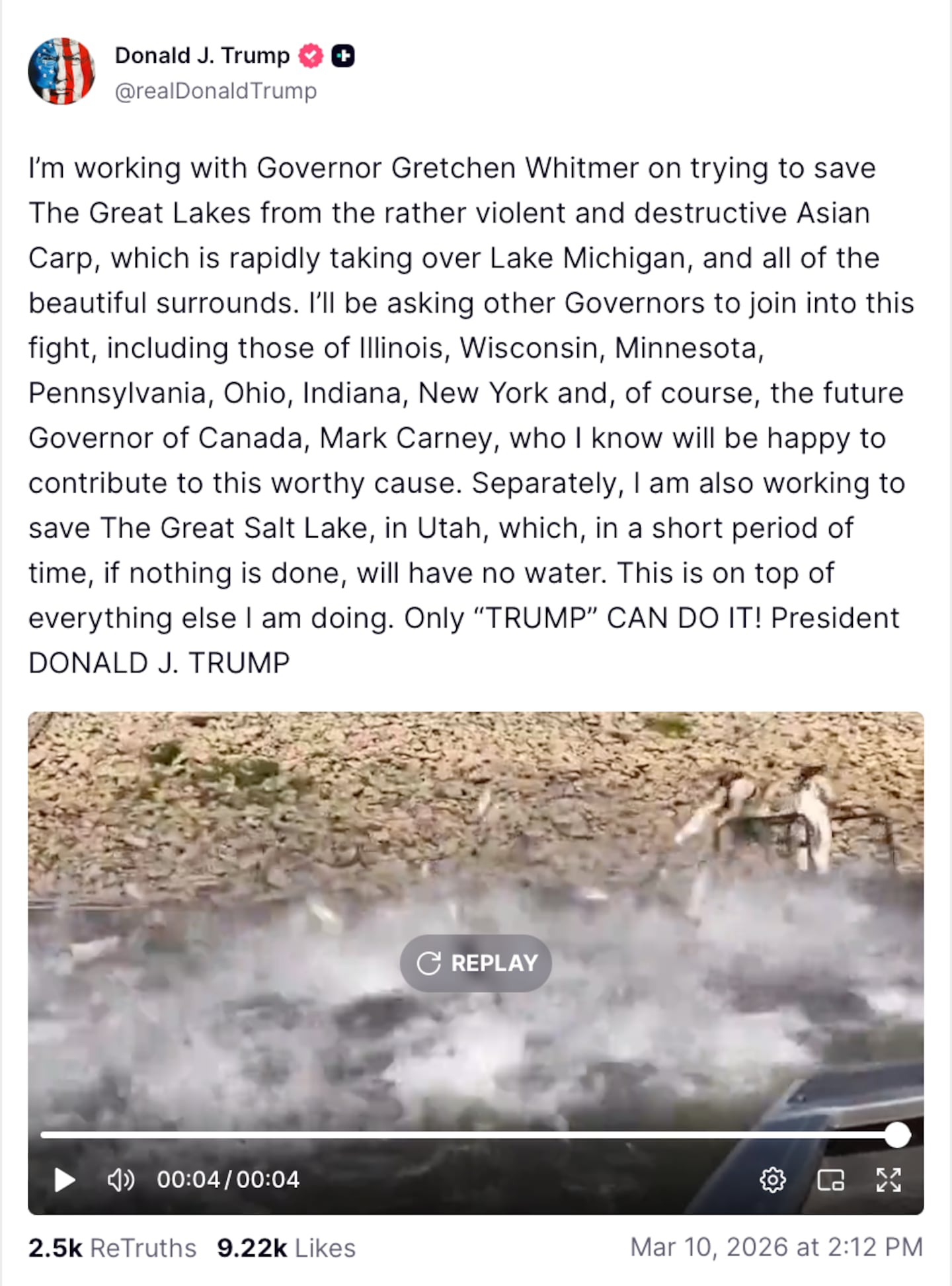 Donald Trump Wages War Against ‘Violent and Destructive’ Asian Carp Fish