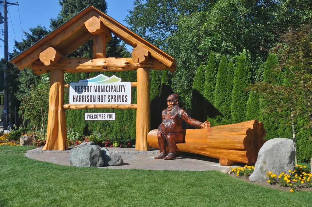 Sasquatch Hunting Goes Mainstream in Small Canadian Town