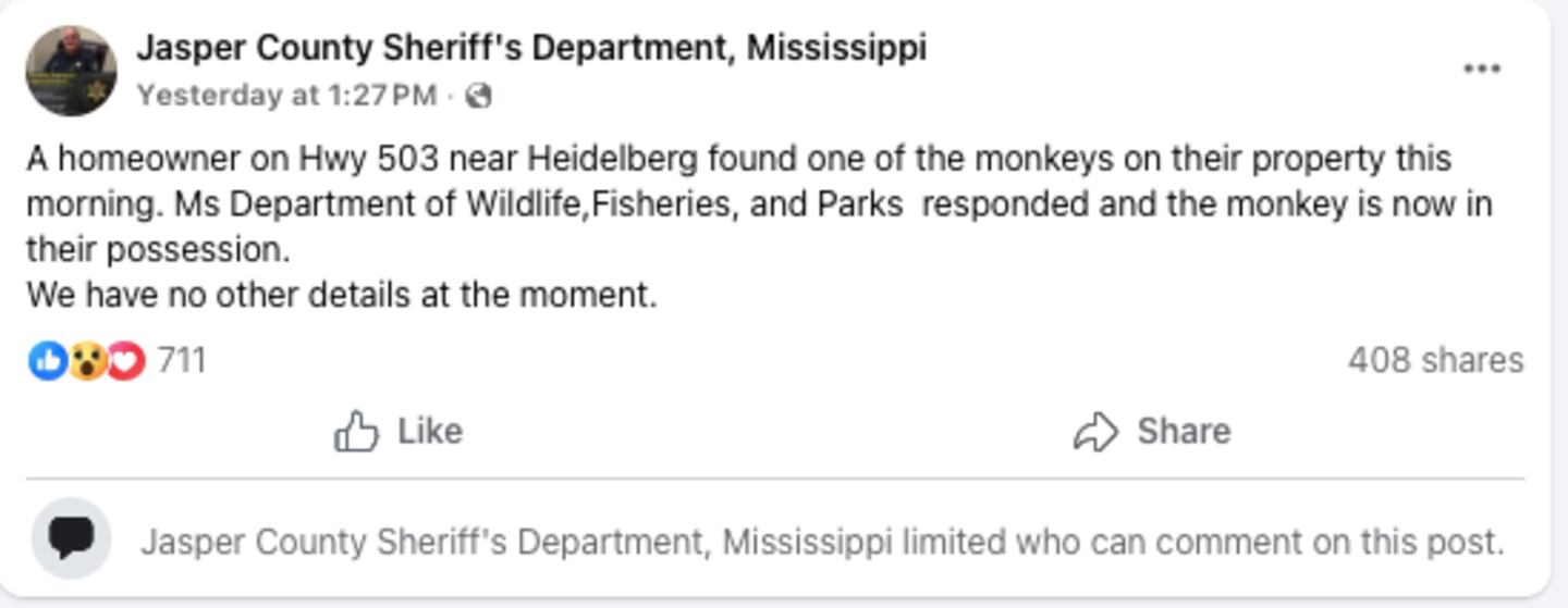Mississippi Mom Who Shot Escaped Rhesus Monkey Dead Claims She Was ...