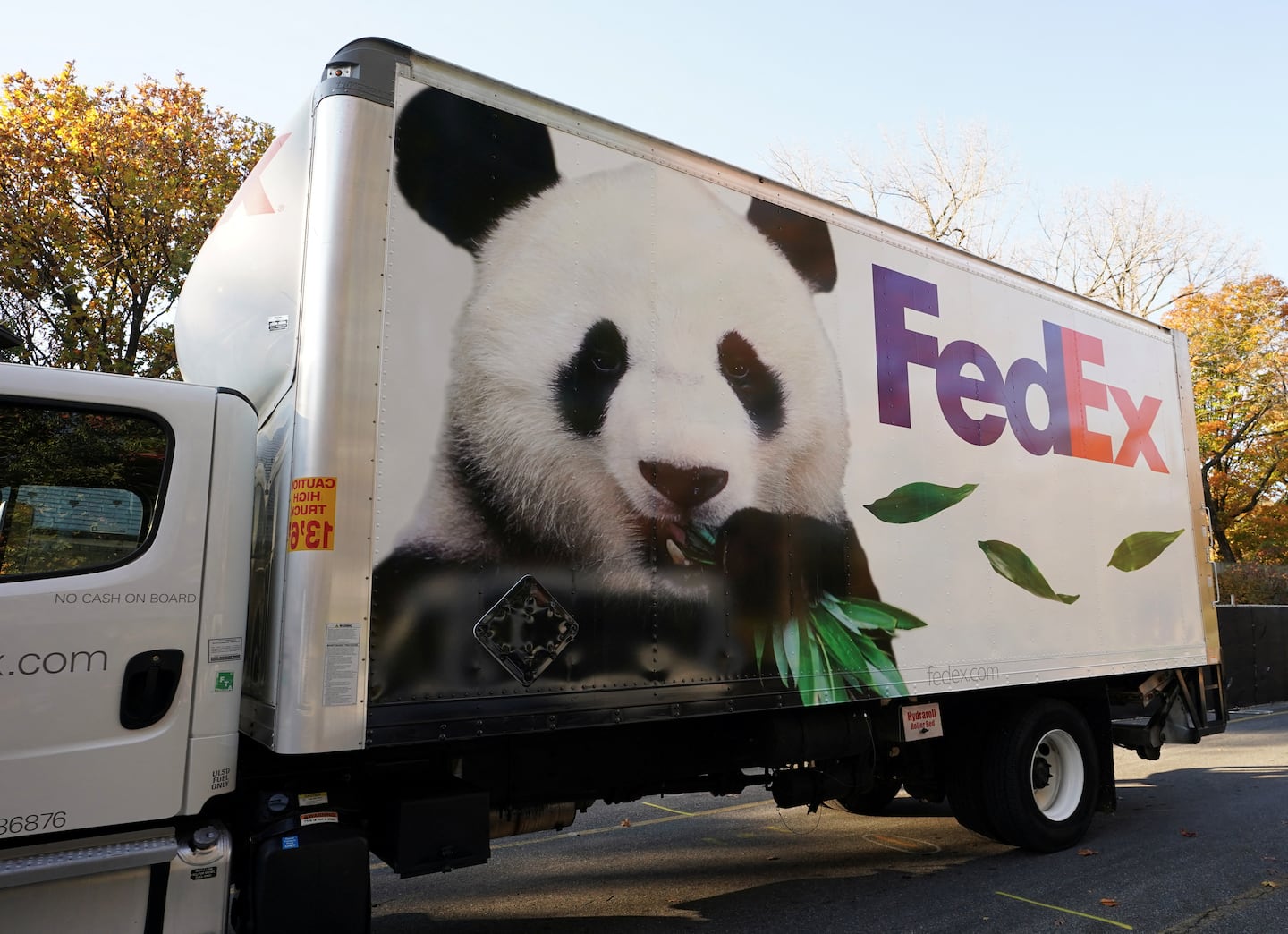 China Sends Qing Bao and Bao Li Two New Panda Ambassadors to Washington ...
