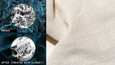 New Clothing Startup Invented a New Kind of Cotton to Fix Fashion’s ...