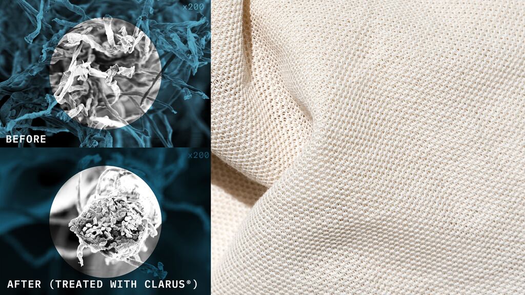 New Clothing Startup Invented a New Kind of Cotton to Fix Fashion’s ...
