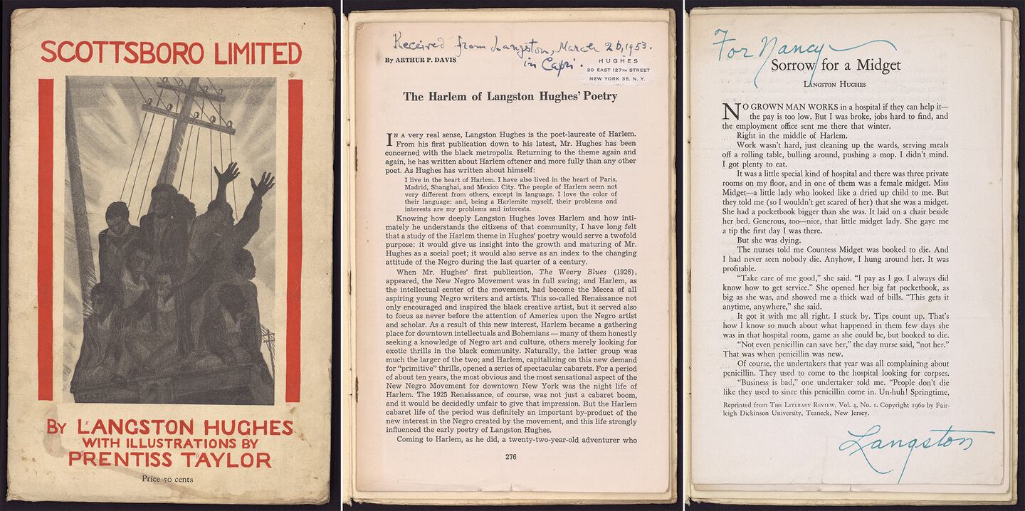 Writers and Their Libraries: What Books Did David Foster Wallace, James ...