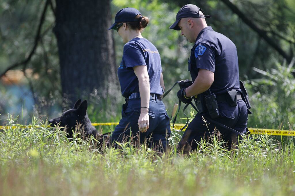 Meet Tony Zerilli, the Mobster Behind This Jimmy Hoffa Dig