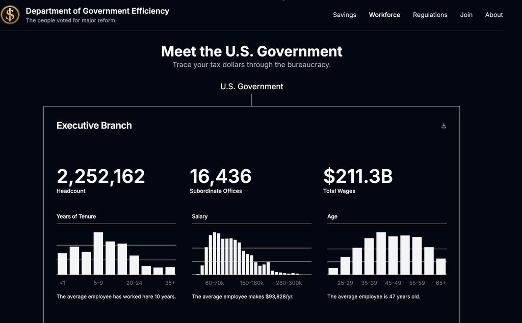 DOGE Rolls Out Its Website—and It Looks Just Like an X Feed