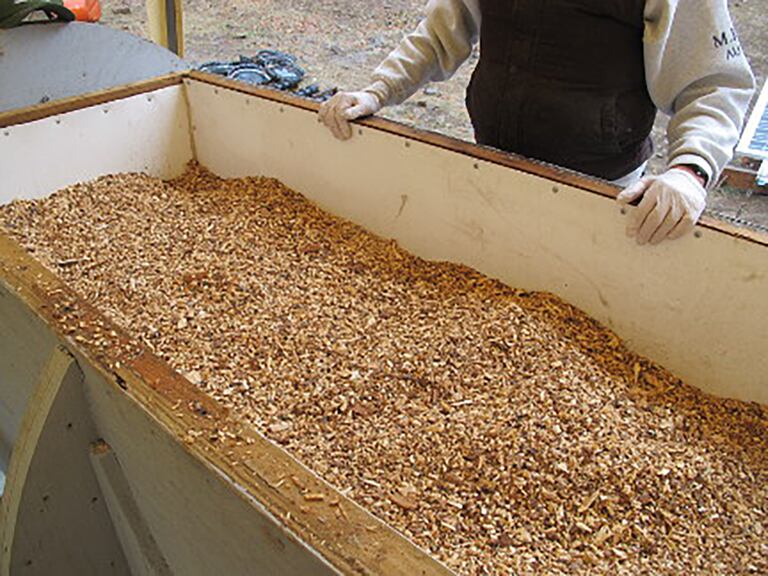 Why I Chose Human Composting Over Cremation or Burial