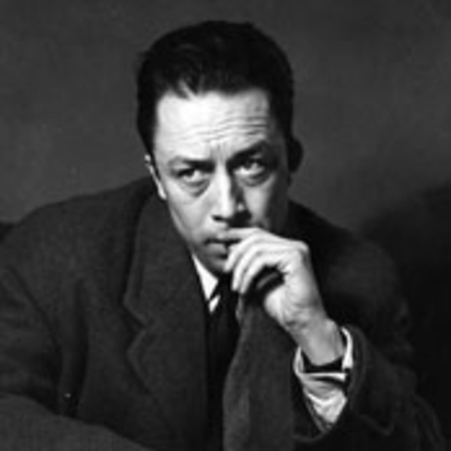Still Cool Camus