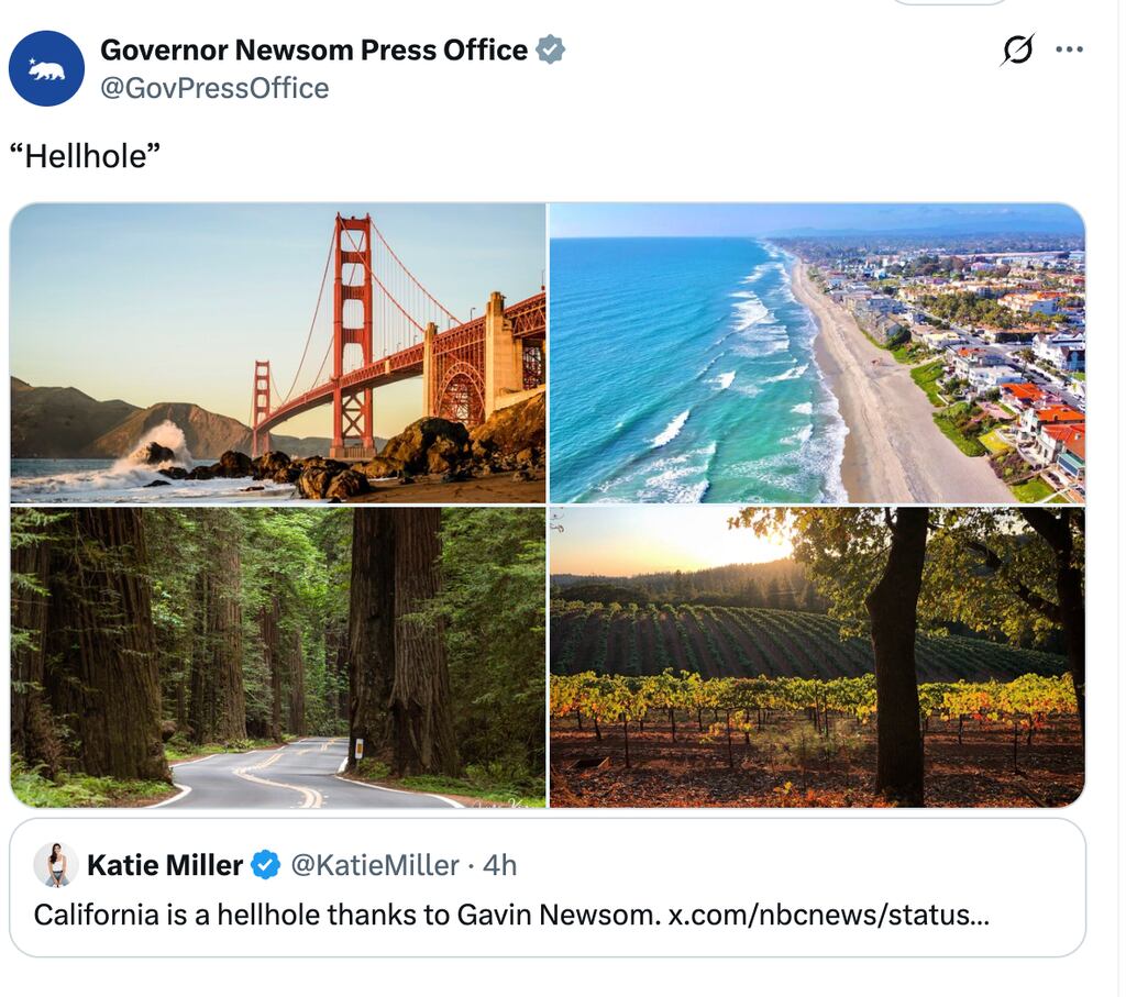 Stephen Miller’s ‘Radical’ Wife Katie Miller Sharpens Knives for Gavin ...