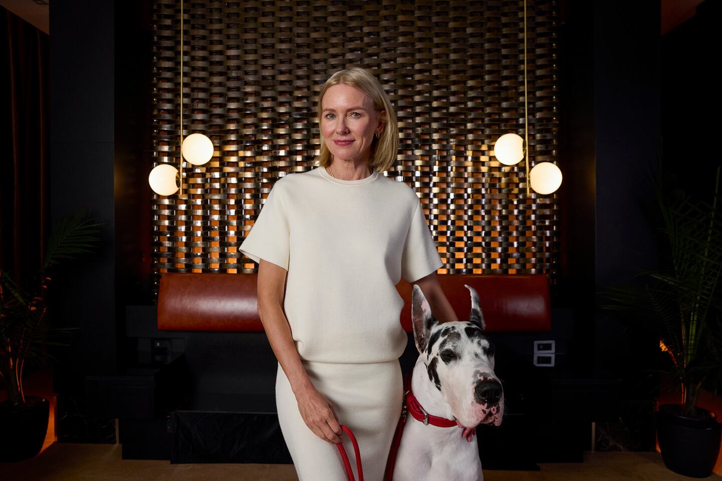 ‘The Friend’ Review: Naomi Watts and a Dog Will Make You Weep