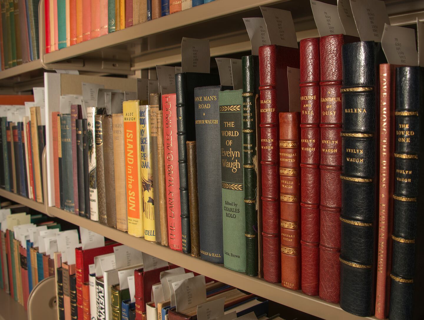 Writers and Their Libraries: What Books Did David Foster Wallace, James ...