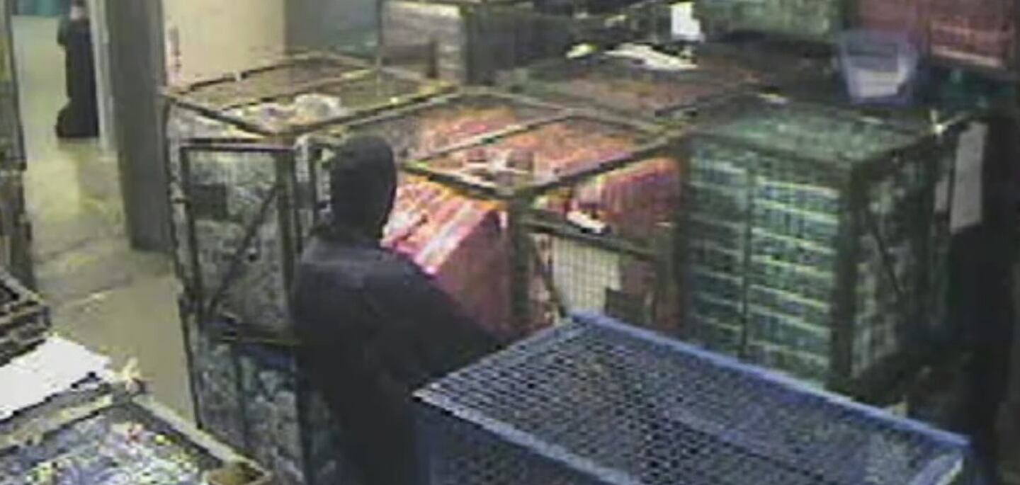 ‘Catching Lightning’ Review: UFC Fighter Lee Murray Bank Heist Documentary