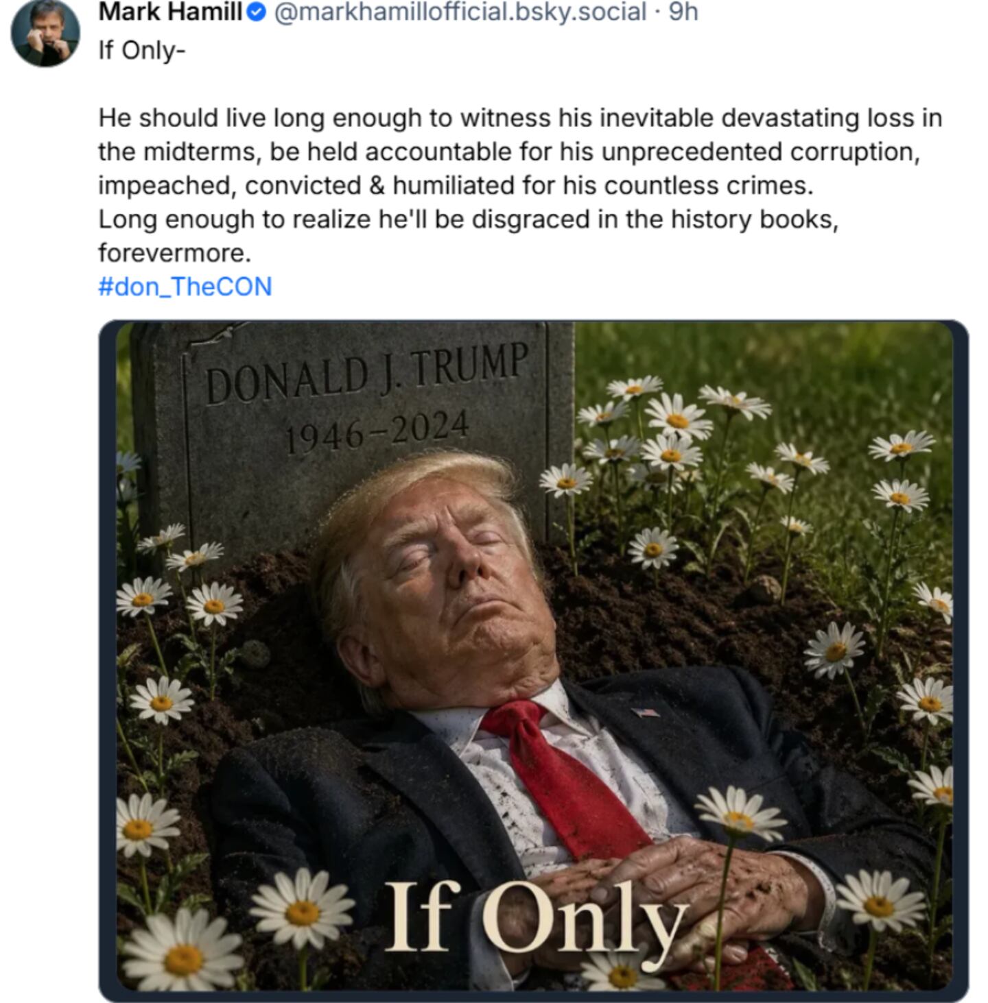 ‘Star Wars’ Icon Apologizes for Shocking Trump Graveyard Post