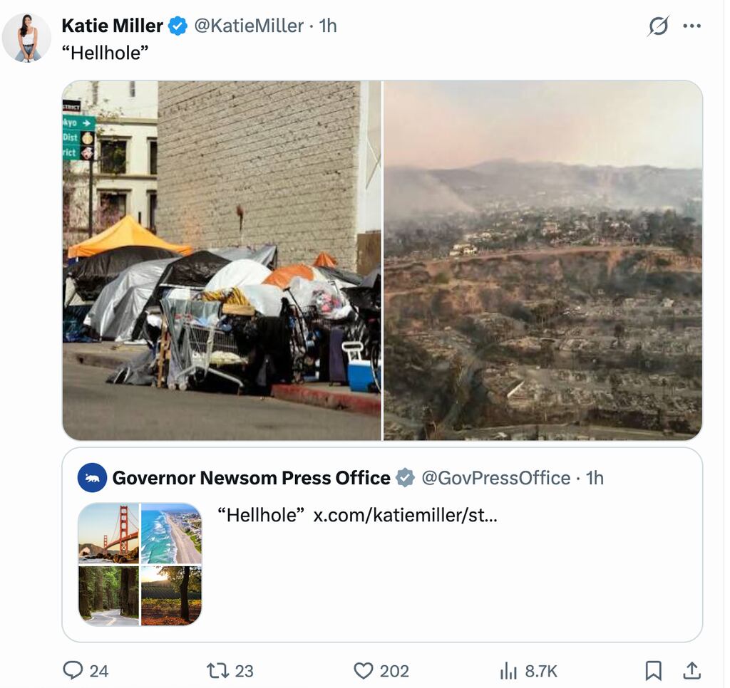 Stephen Miller’s ‘Radical’ Wife Katie Miller Sharpens Knives for Gavin ...