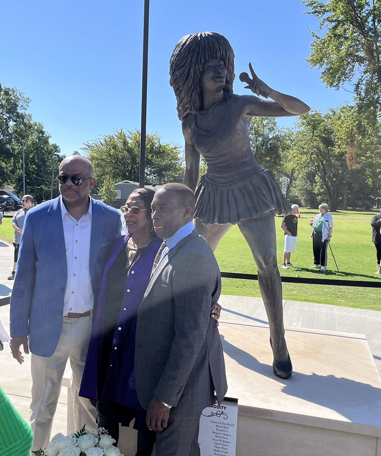 ‘Horrible’ Hometown Tina Turner Statue Slammed by Fans