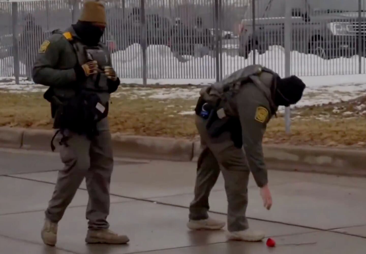 DHS Uses Clip of ICE Goons Taking Rose From Slain Mom Renee Good's ...