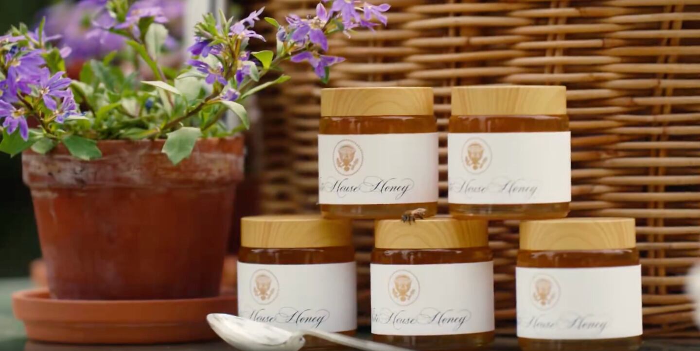 Melania Trump Busies Herself With Beekeeping Honey Endeavor After ...