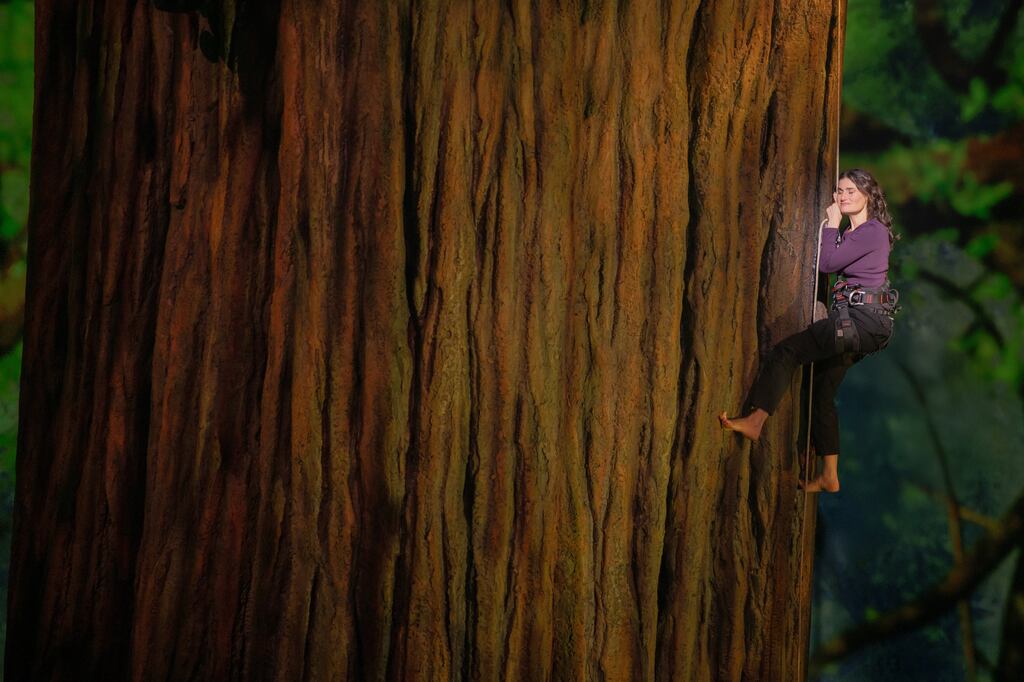 Review: Idina Menzel’s ‘Redwood’ on Broadway Gets Lost in the Forest