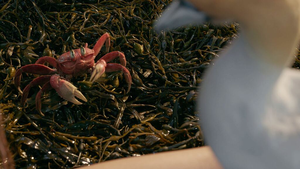 Awkwafina’s ‘Little Mermaid’ Rap ‘Scuttlebutt’ Is Horrifically Bad