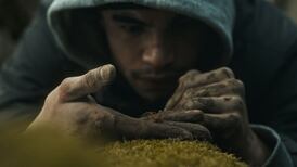 French Horror Film ‘Infested’ Used 200 Real Spiders to Scare Audiences