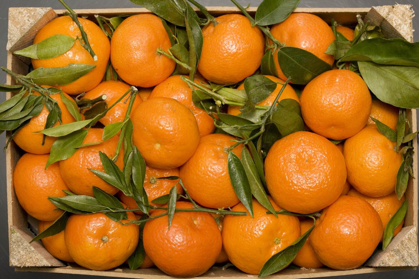 My New Favorite Way to Turn Citrus Into Winter Drinks
