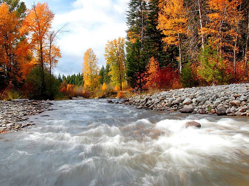 Where to See the Best Fall Foliage in the U.S. (Photos)