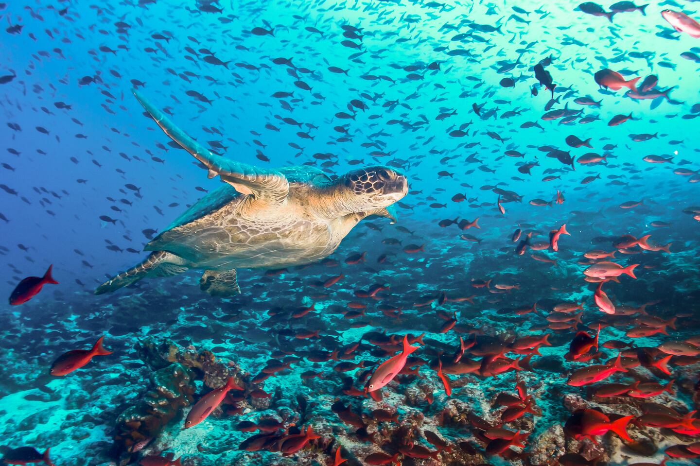 Beaches, Mountains, Jungles, and Cities — This Little Country Has it All