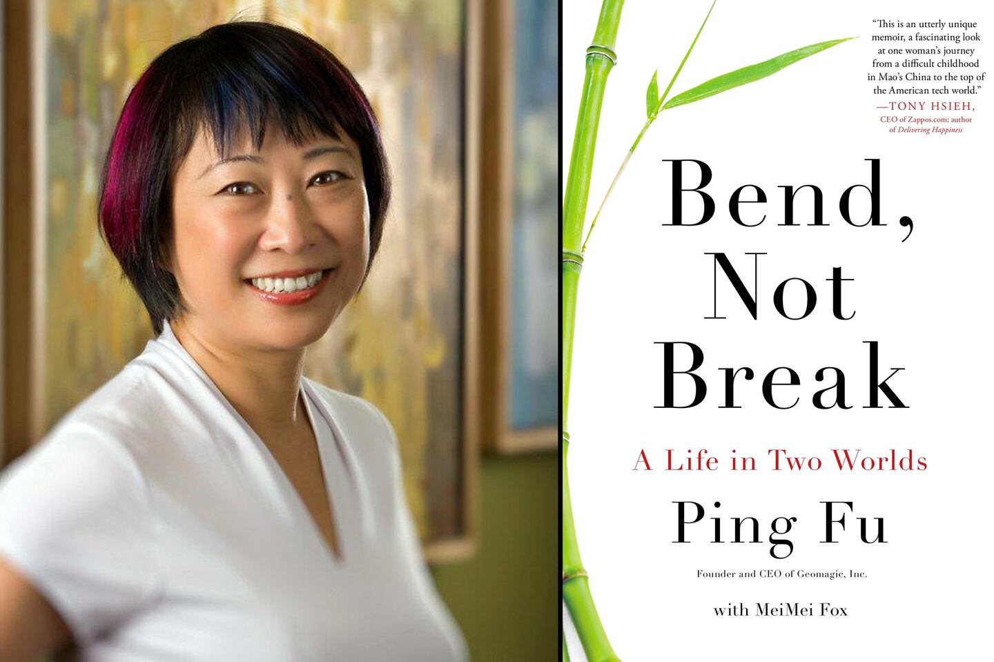 The Persecution of Ping Fu