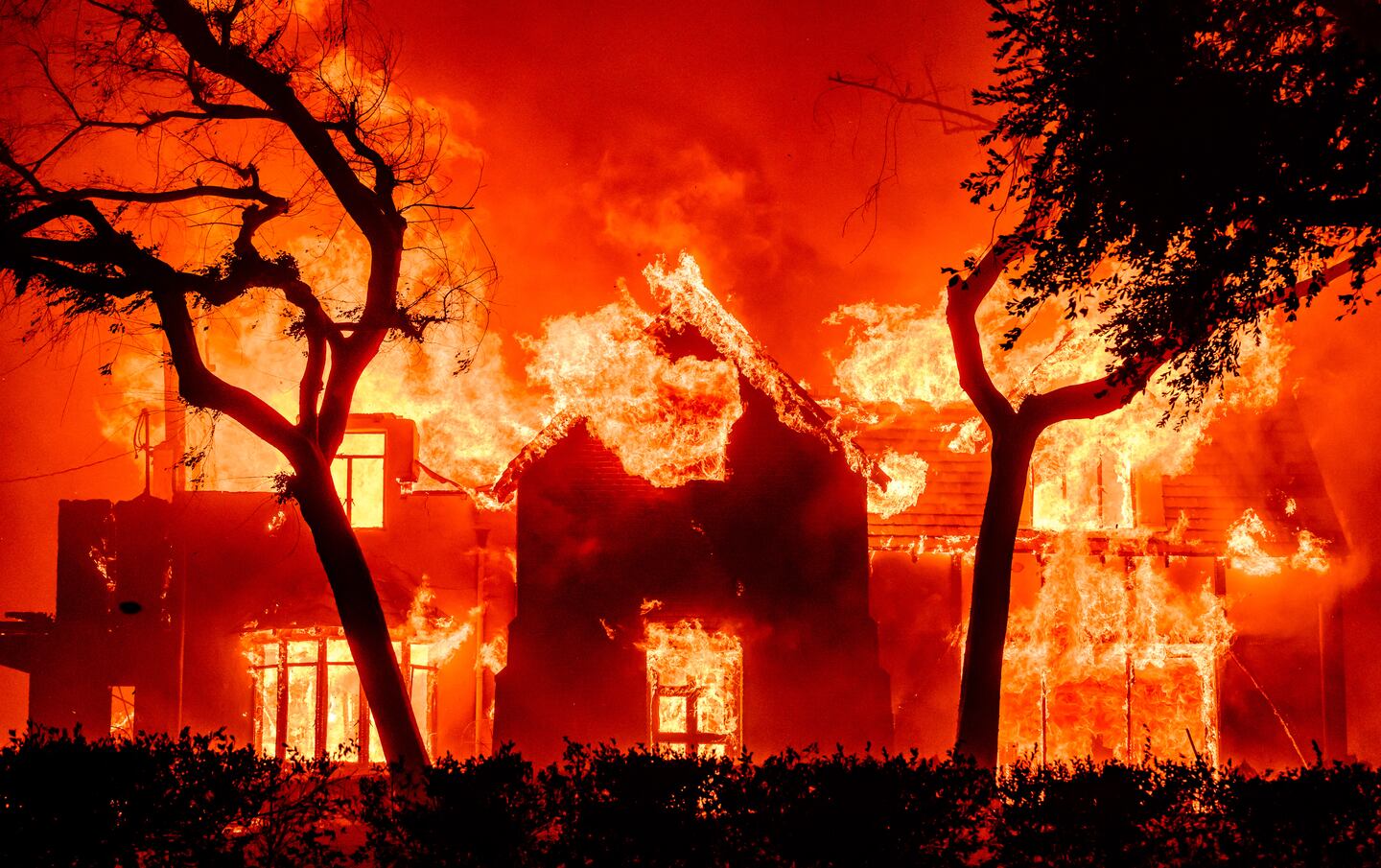‘Orange Idiot’: Actor Eric Braeden Forced to Flee Wildfire Tears Into ...