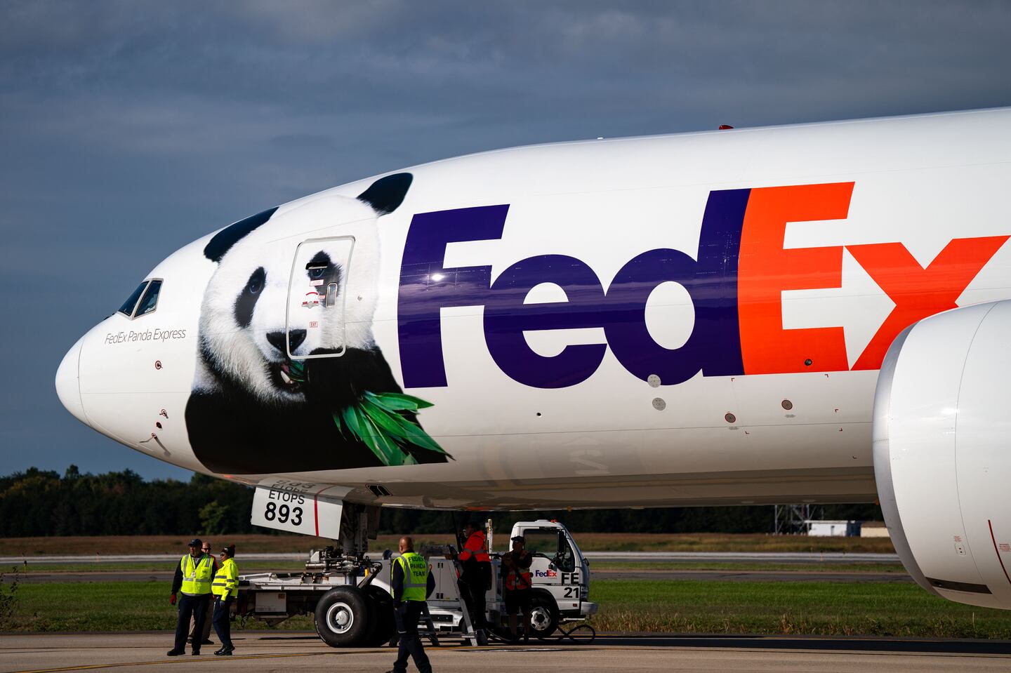 Two Cuddly New VIPs Land in D.C. Amid Controversy Over ‘Panda Factories’