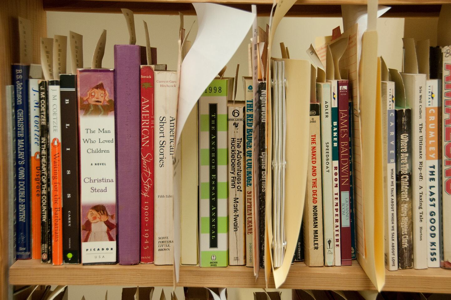 Writers and Their Libraries: What Books Did David Foster Wallace, James ...