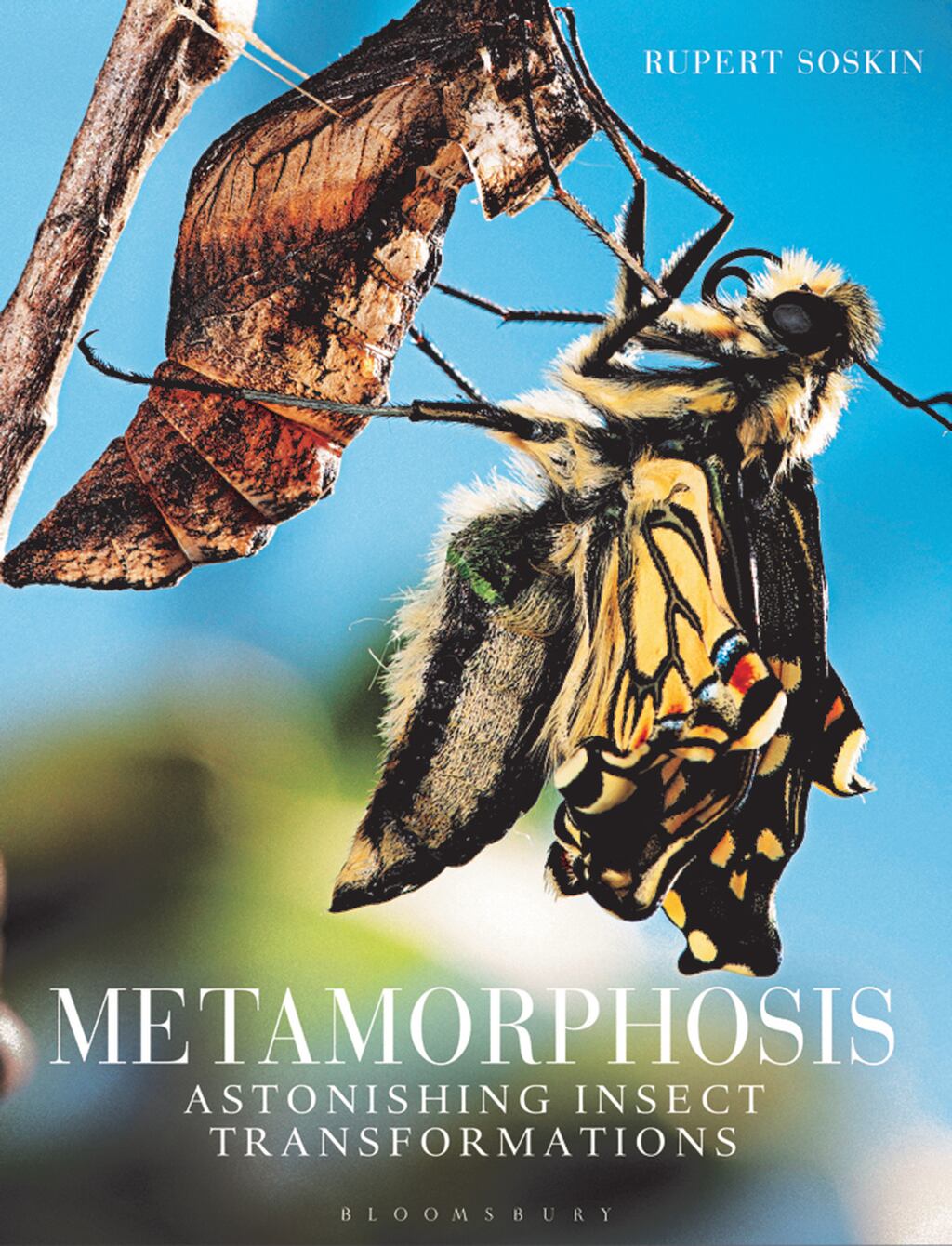 Scenes From Nature’s Cruelest Puberty: Rupert Soskin’s ‘Metamorphosis’